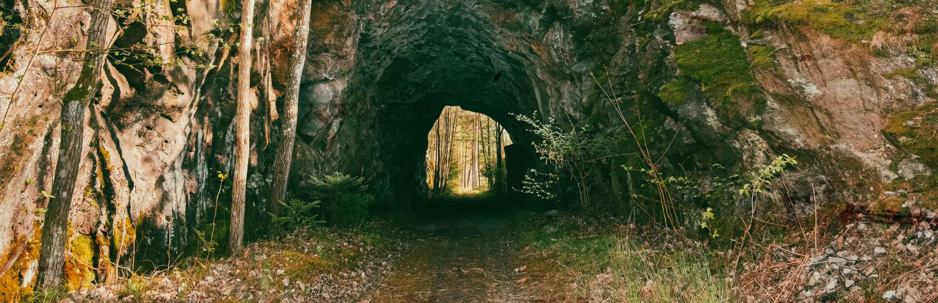 谜案追凶：消失的妻子 | The Game Maker: A Carol Reed Mystery – 好玩游戏库